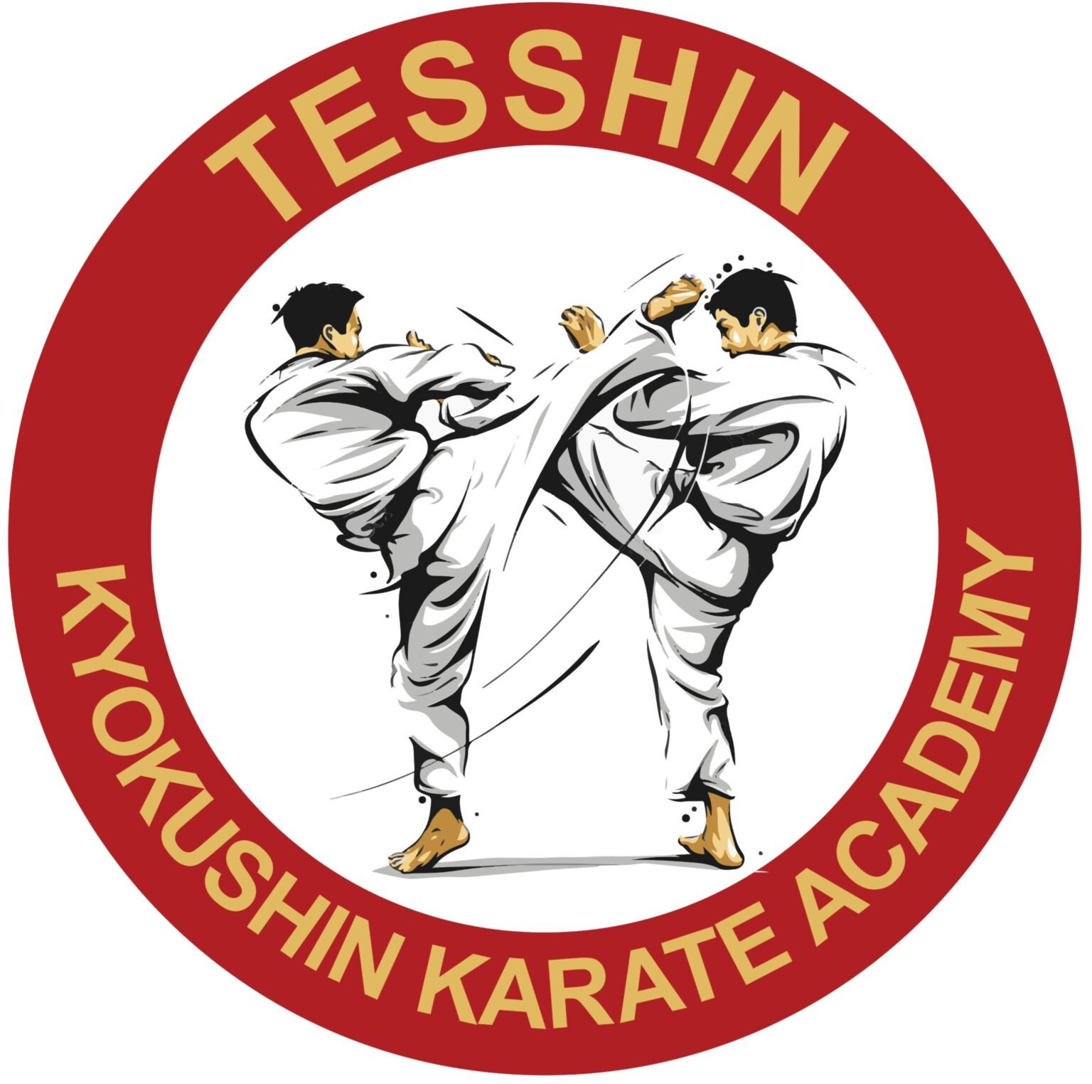 tesshin kyokushin